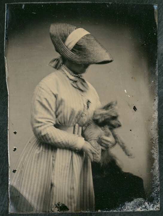 Marian Hooper Adams clover - noosfera